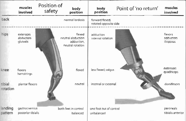 ACL Injury Prevention in Women's Football (Soccer) - Coast Sport